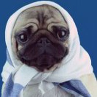 COD16、游戏闪退、游戏报错、DX12问题，剧情BUG处理汇总_斗鱼鱼吧