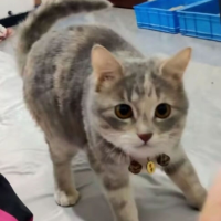 原来uzi，ame，niko都是97年的啊还都是在18年整了个大活_斗鱼鱼吧